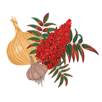 Super Sumac – Beller Nutrition